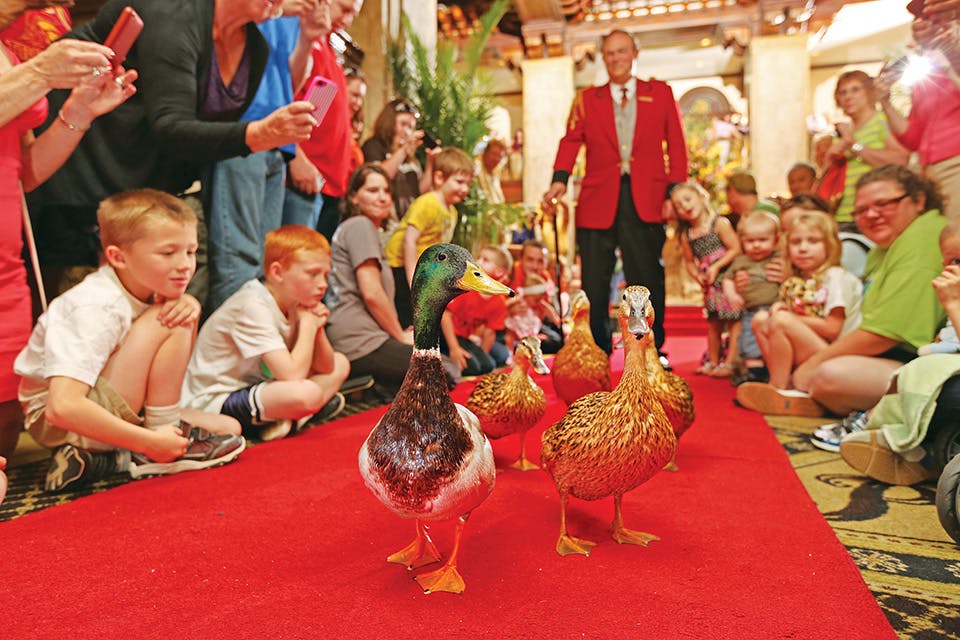 The Peabody | Memphis, Tennessee | LongWeekends Magazine