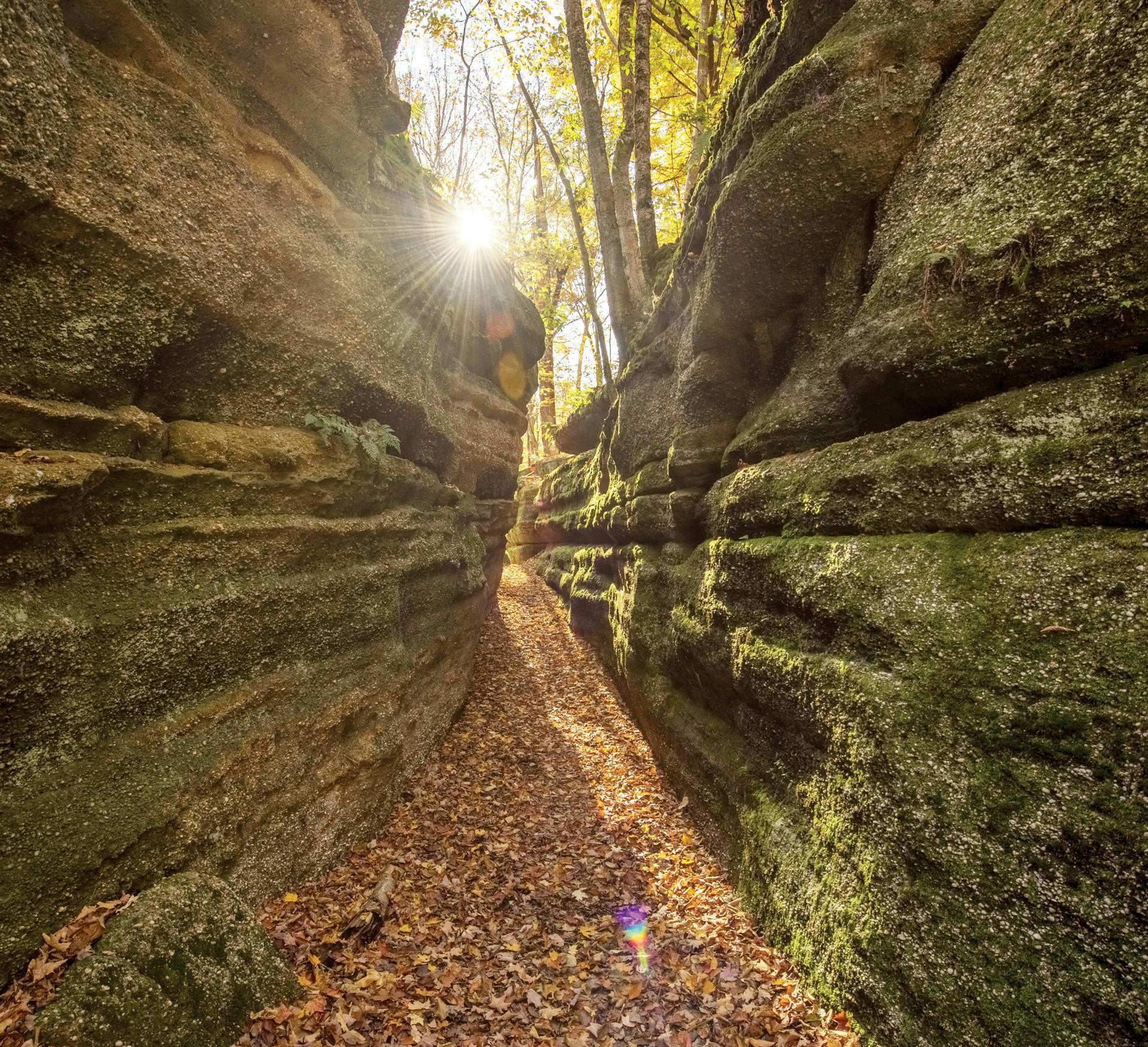 Nelson-Kennedy Ledges State Park | Garrettsville, Ohio | LongWeekends ...