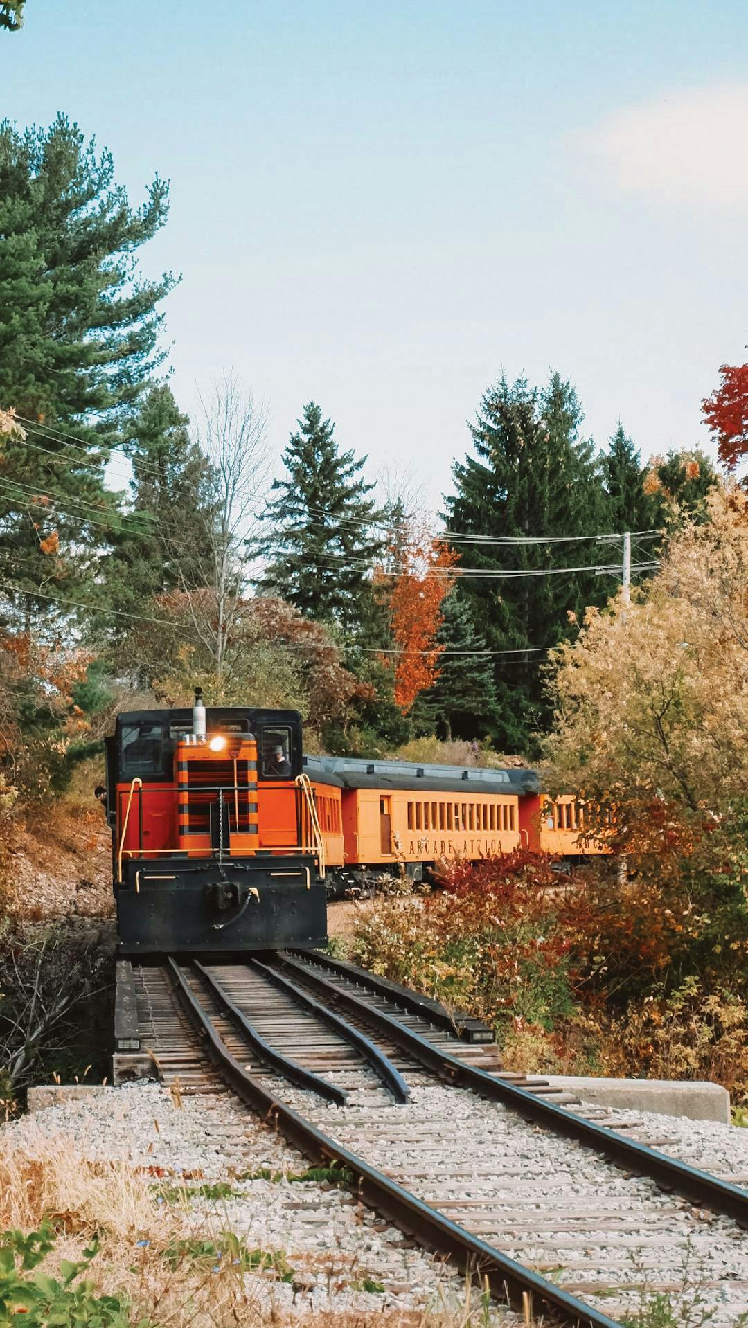 Arcade & Attica Railroad | Arcade New York | LongWeekends Magazine
